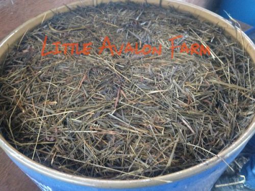 Silage Making with Lawnmower Grass Clippings – Little Avalon Farm