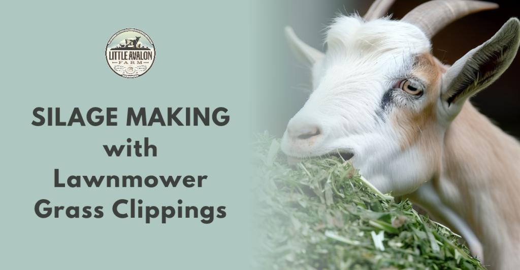 Silage Making with Lawnmower Grass Clippings – Little Avalon Farm